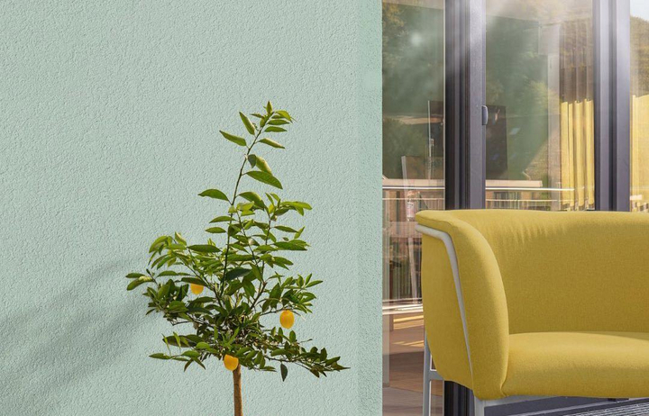 MALACHIT 55 - цветът на Caparol за 2023 г.